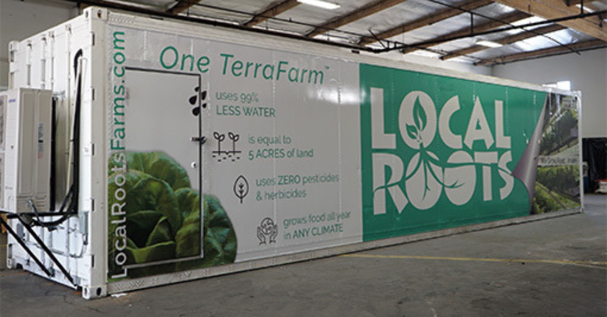 Shipping Container Farm | Revolutionazing Farming Techniques