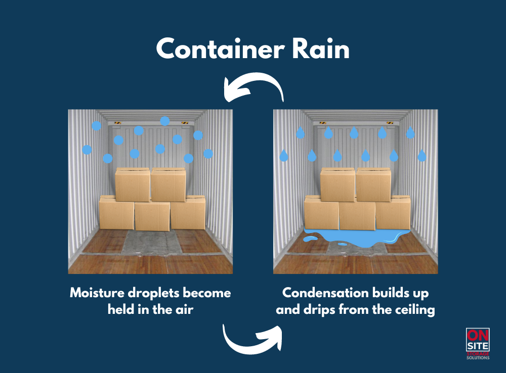 Expert Guide for Shipping Container Maintenance | Do's and Dont's